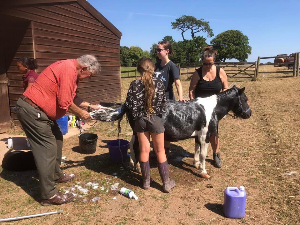 Community – Ash Rescue Centre